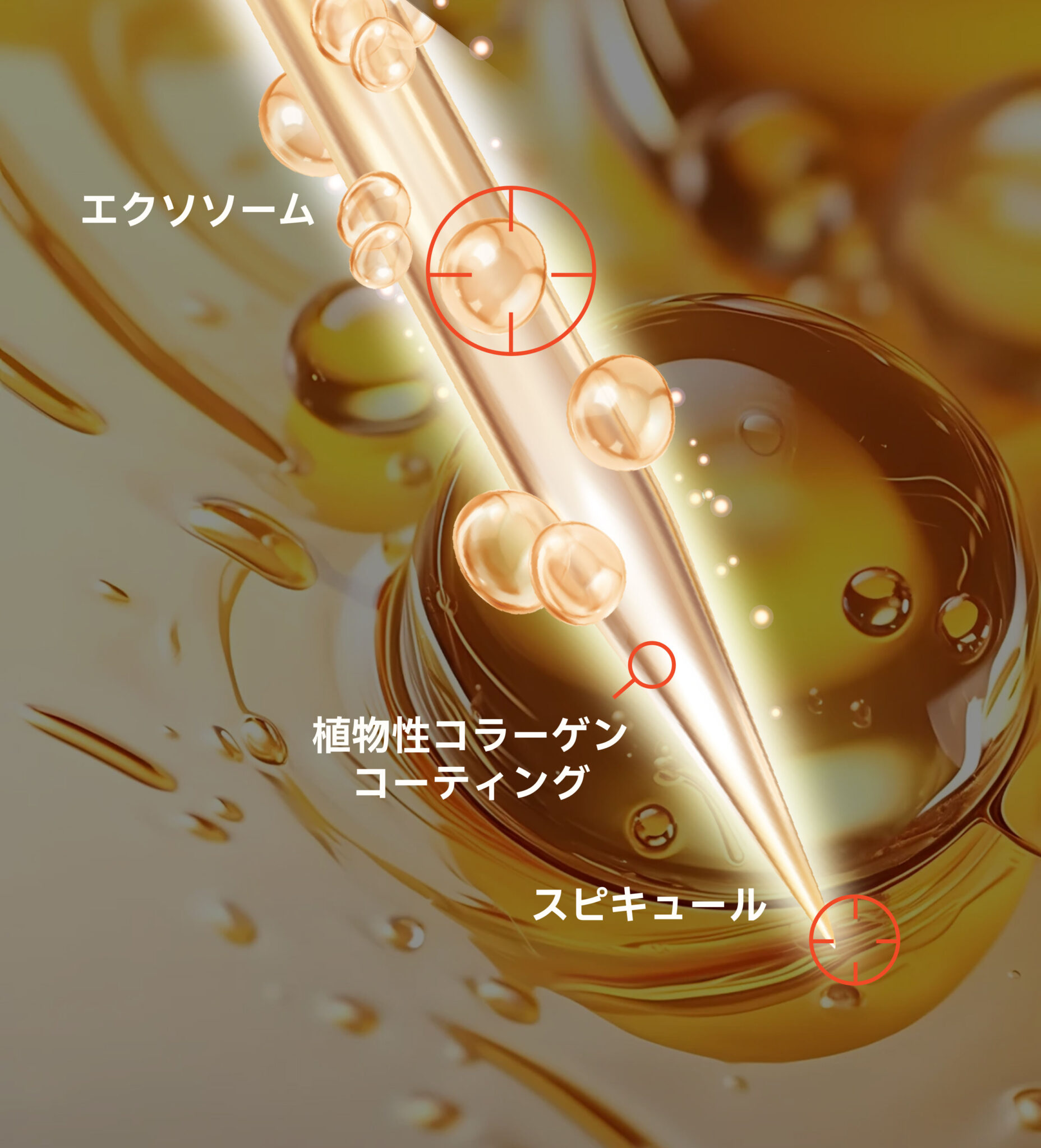 Spicus（スピーカーズ） | 【公式】 EXOMERE JAPAN